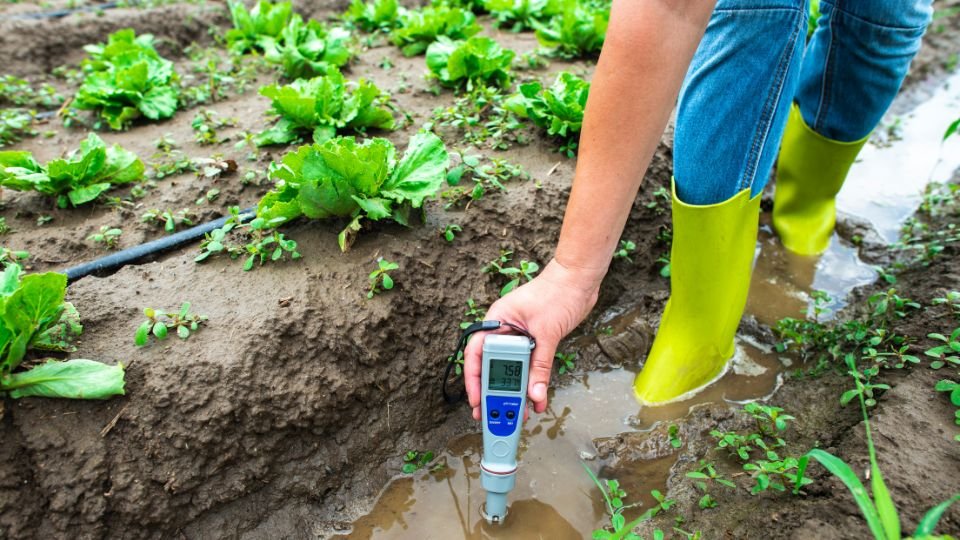 Savas talajok jellemzői és hatásai - 🌿Kertikék